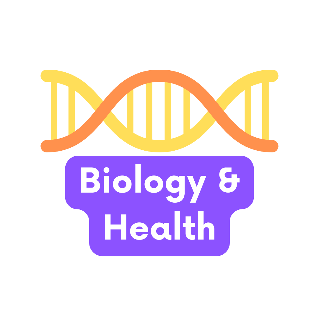 Theme 1 Projects - Proto-Open Knowledge Network (Proto-OKN)
